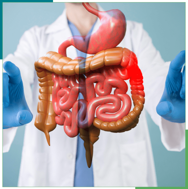 Best Colon Screening Package Near Me, Hyderabad | Sri Sri Holistic ...